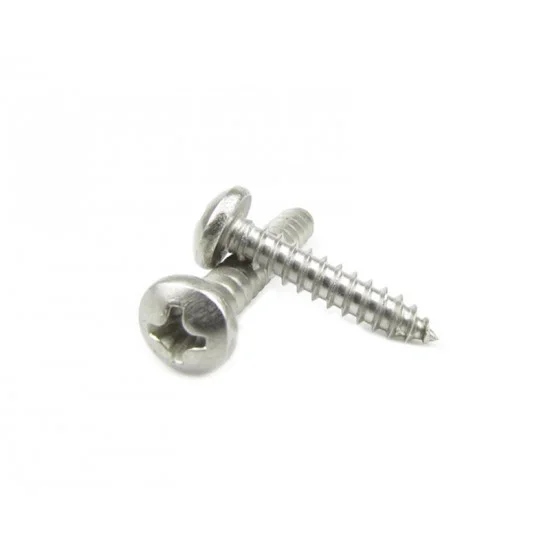 M6 SS 6X18 mm Self Tapping Philips Head Mounting Screw