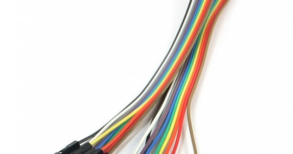 10 Pieces Female-to-Female Connector Wire (20CM)